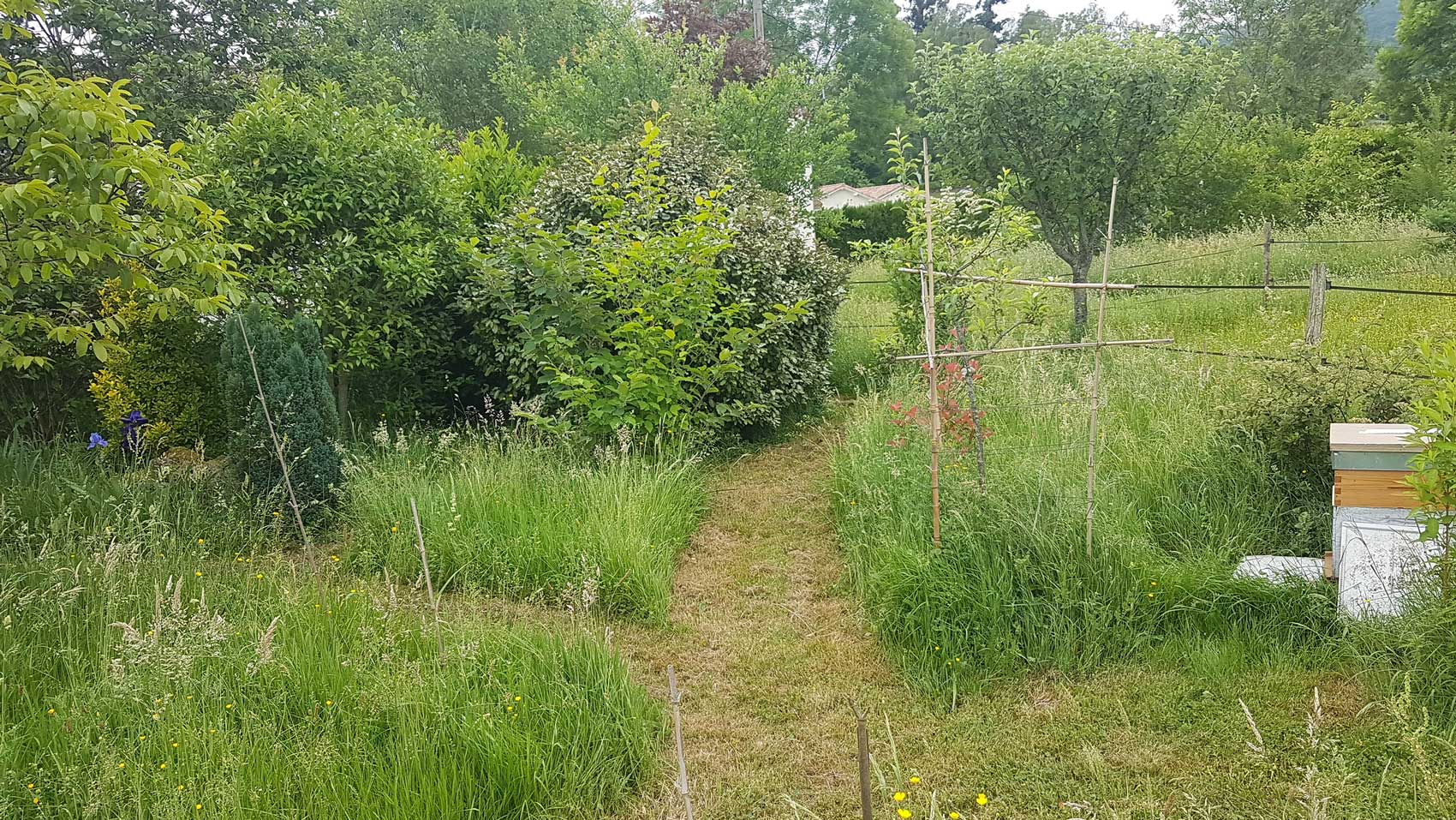 Lauréats du concours de tonte différentiée - SMECTOM du Plantaurel (09)