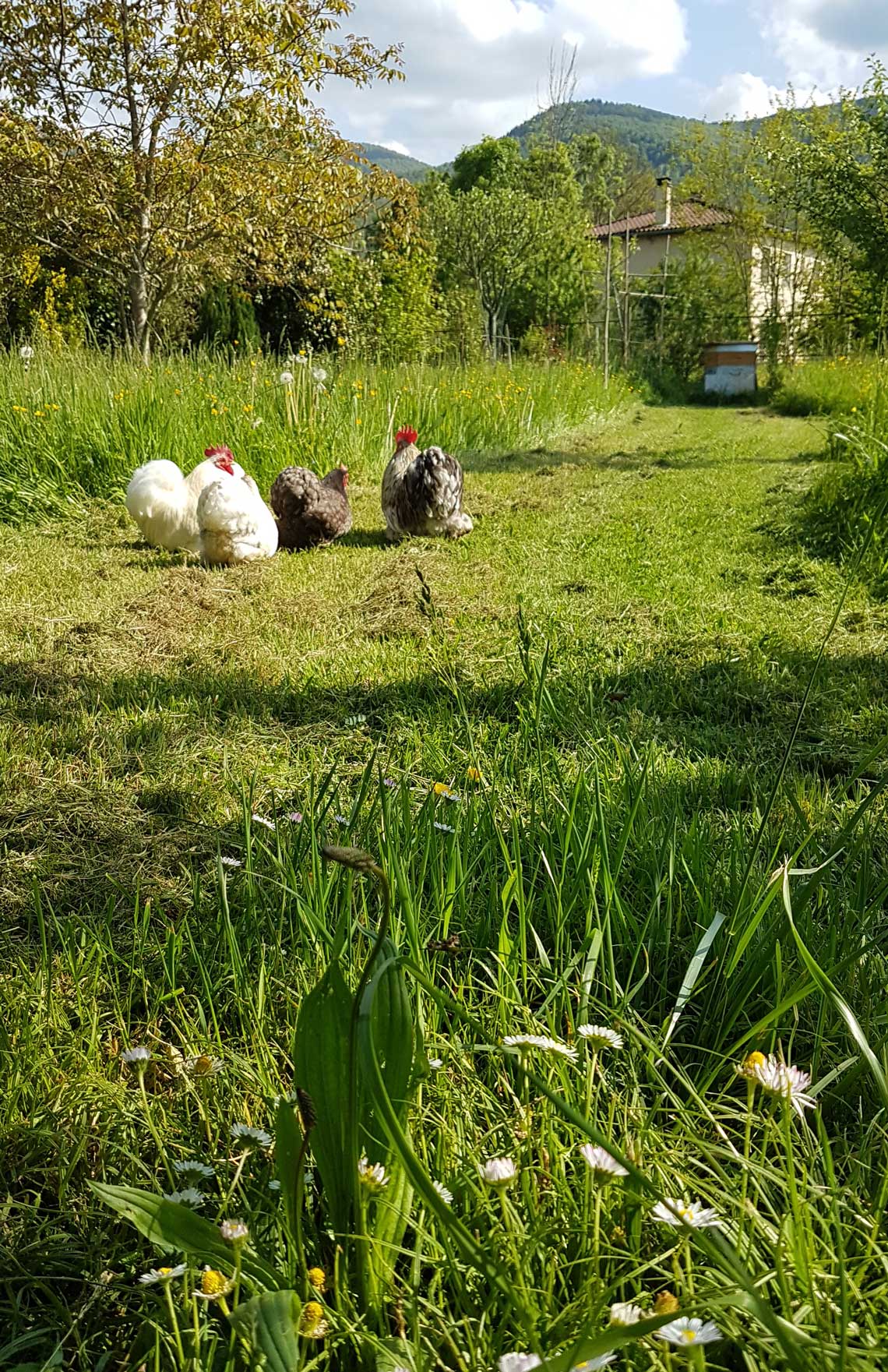 Lauréats du concours de tonte différentiée - SMECTOM du Plantaurel (09)